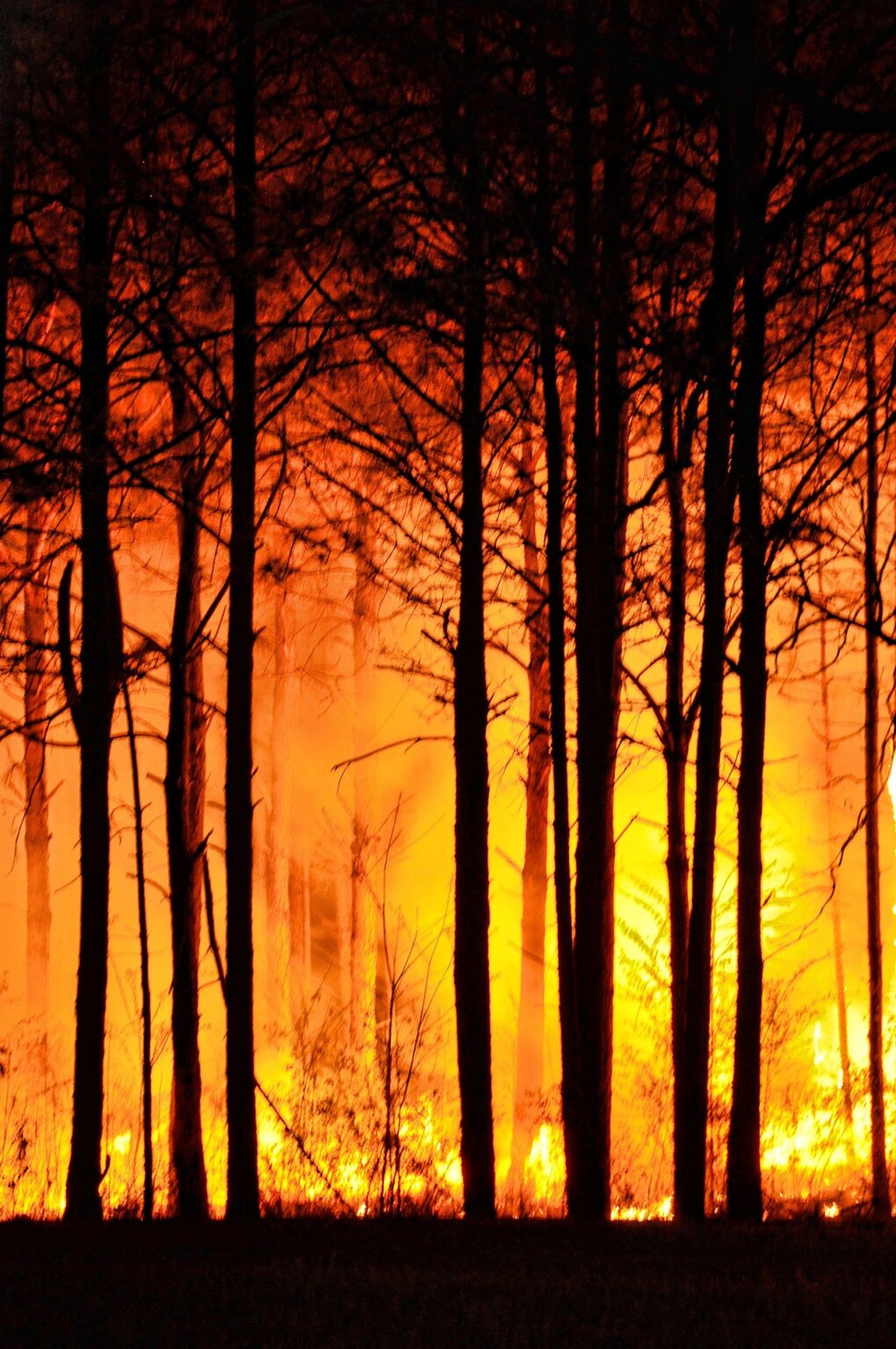 AirNow Fire and Smoke Map – CAPCOA